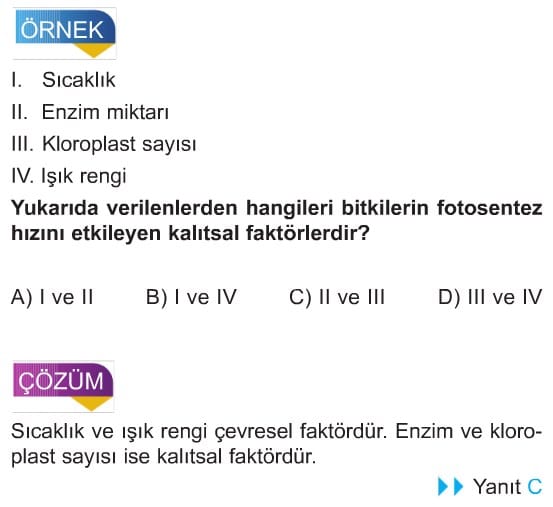 8-sinif-besin-zinciri-ve-enerji-iliskileri-cozumlu-sorular-test-11 ... 8-sinif-besin-zinciri-ve-enerji-iliskileri-cozumlu-sorular-test-11 ...