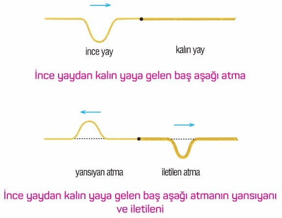 Yaylarda Atmanın Yansıması ve İletilmesi kısaca özet konu anlatımı fizik